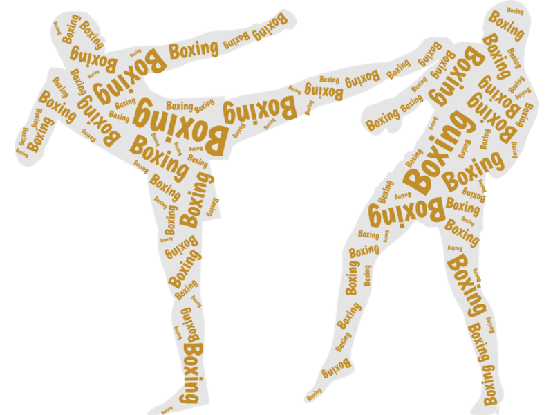 Boxing / Mixed Martial Arts Word Cloud · InkPx