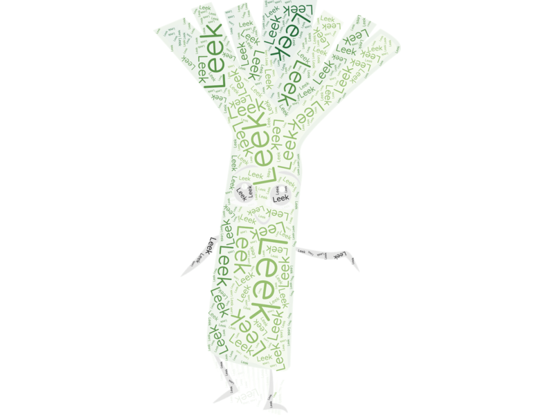 Leek Word Cloud · InkPx
