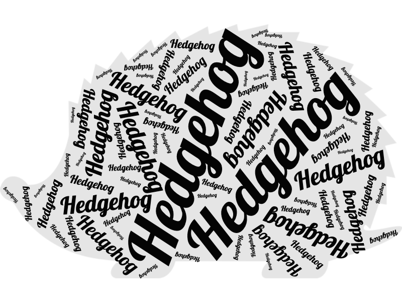 Hedgehog Word Cloud · InkPx